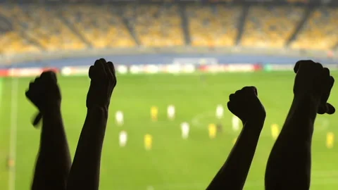 Football Fans Silhouette Stock Videos – Royalty-Free HD & 4K Videos | Pond5