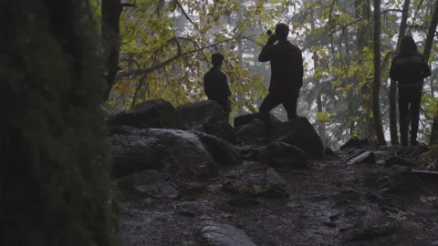 Silhouettes of Three Men in a Forest Tog... | Stock Video | Pond5