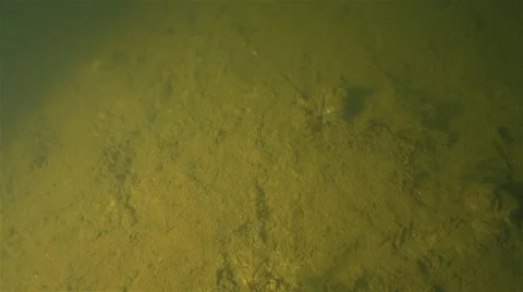 silt on the bottom of the lake rises lik... | Stock Video | Pond5