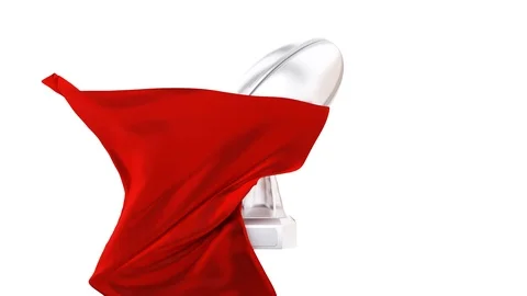 Silver Rugby Trophy hidden under a Red f... | Stock Video | Pond5