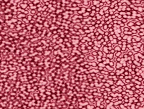 Simple animation on the theme of biology... | Stock Video | Pond5