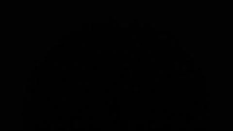 Fireworks Animation Movie Stock Videos – Royalty-Free HD & 4K Videos ...