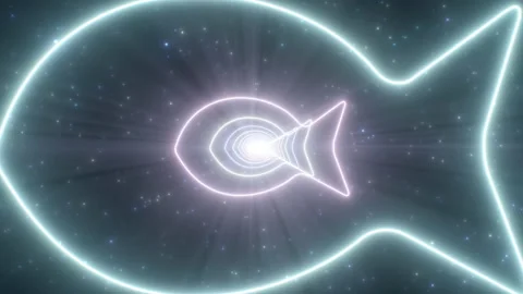 Simple Fish Outline Shape Blue Glowing N... | Stock Video | Pond5