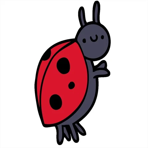 A simple looping animated cartoon ladybu... | Stock Video | Pond5