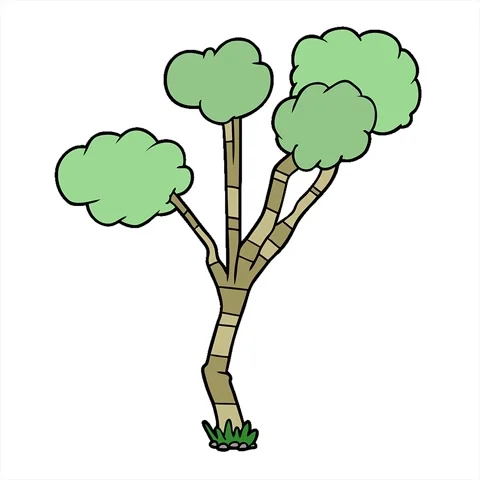 Simole Tree Stock Videos – Royalty-Free HD & 4K Videos