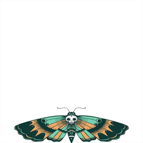 Gothic Moth Stock Videos – Royalty-Free HD & 4K Videos