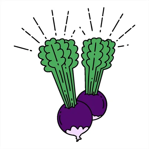 Beet Animated Stock Videos – Royalty-Free HD & 4K Videos | Pond5