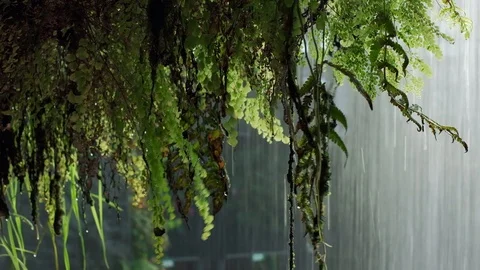 Singapore - View through waterfall and l... | Stock Video | Pond5