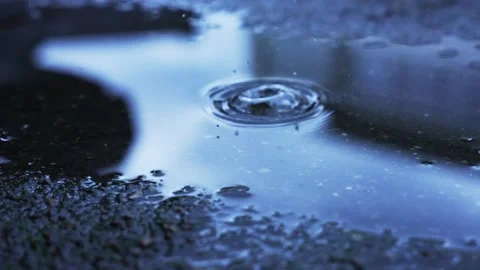 Single big water drop falling in a puddl... | Stock Video | Pond5
