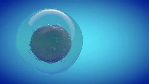 Single cell 3D CGI render on blue backgr... | Stock Video | Pond5
