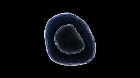 Stock Footage by Rydfanimation | Official Pond5 Storefront