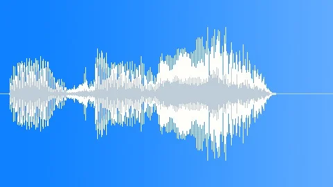 Bull Moo Sound Effects ~ Royalty Free Bull Moo Sounds | Pond5