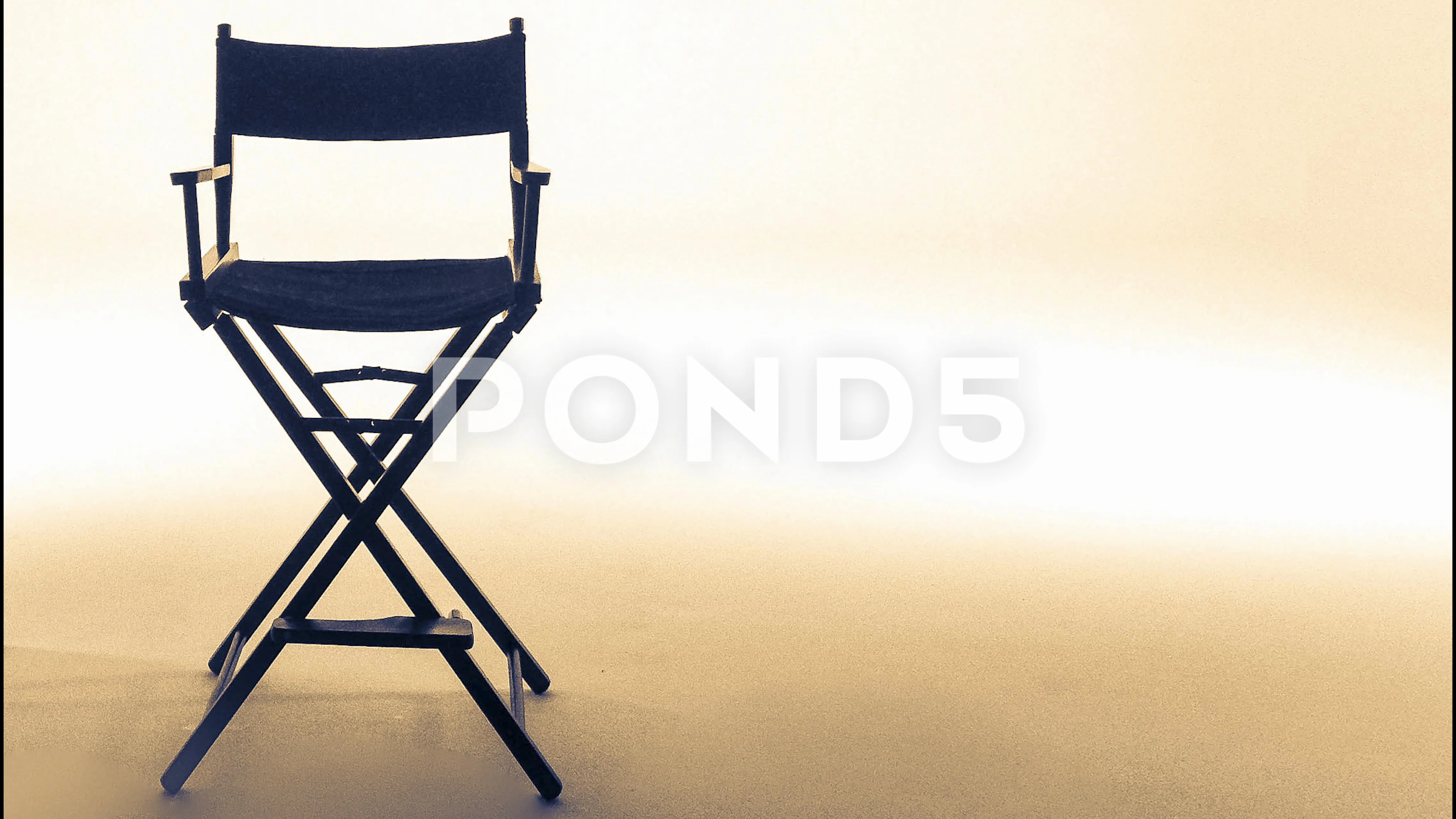 Director Chair Silhouette