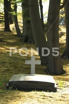 Photograph: A single grave in a forest cemetery #129677197