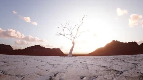 Lonely Wind Stock Videos – Royalty-Free HD & 4K Videos | Pond5