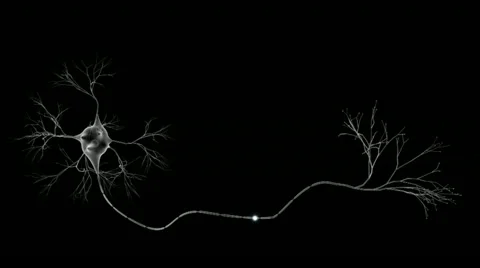 A single neuron or brain cell or nerve c... | Stock Video | Pond5
