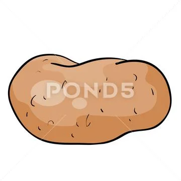 Single potato in brown color, cartoon illustration, isolated object on ...