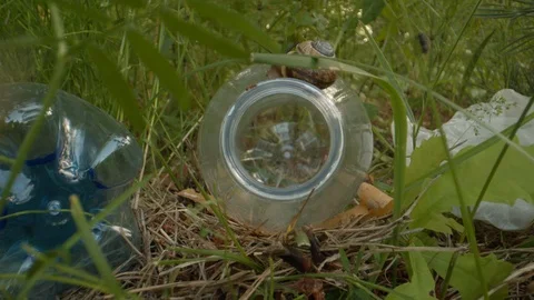 Plastic Trash Stock Videos – Royalty-Free HD & 4K Videos | Page 2