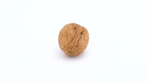 Single walnut isolated rotating on white... | Stock Video | Pond5