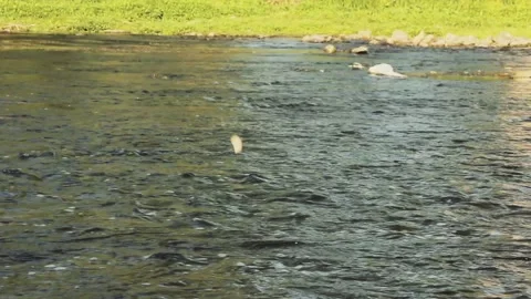 River Sink Stock Videos – Royalty-Free HD & 4K Videos