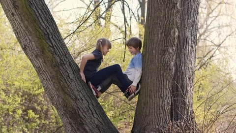 Sit on a tree in park children boy and g... | Stock Video | Pond5