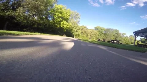 Shadow The He Stock Videos – Royalty-Free HD & 4K Videos | Pond5