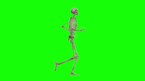Skeleton Green Screen Stock Video Footage | Royalty Free Skeleton Green ...