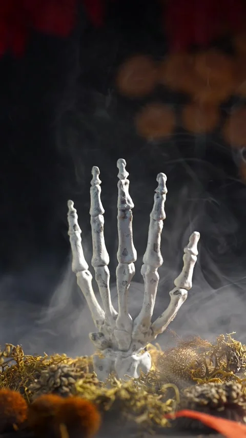 Skeleton arm sticking out of moss with t... | Stock Video | Pond5