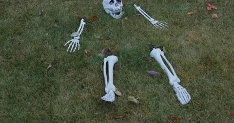 Skeleton bones coming out of the ground,... | Stock Video | Pond5