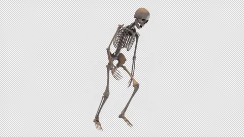Skeleton Walking Stock Footage ~ Royalty Free Stock Videos | Pond5