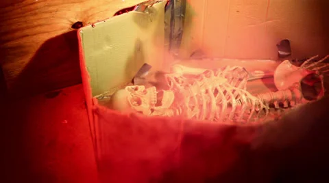 Skeleton In Coffin Stock Videos – Royalty-Free HD & 4K Videos | Pond5