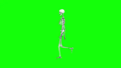 Skeleton Collapsing Green Screen | Stock Video | Pond5