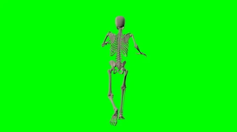 Skeleton creeping rear view green screen | Stock Video | Pond5