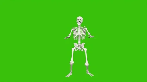 Skeleton dancing. Seamless loop animatio... | Stock Video | Pond5