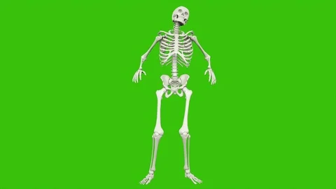 Skeleton dancing. Seamless loop animatio... | Stock Video | Pond5