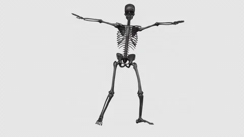 Skeleton dancing. Seamless loop animatio... | Stock Video | Pond5