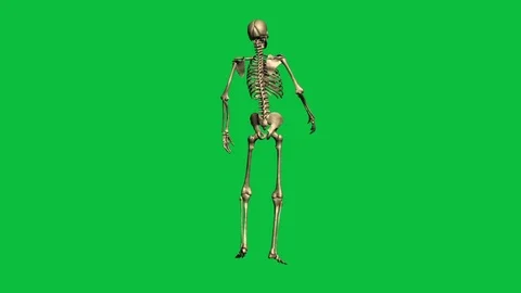 skeleton fall - separate on green scre... | Stock Video | Pond5