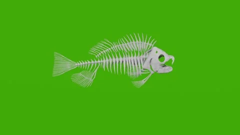Skeleton Green Screen Stock Video Footage | Royalty Free Skeleton Green ...