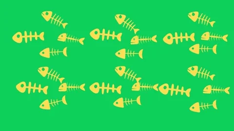 the skeleton of a fish rotating on a gre... | Stock Video | Pond5