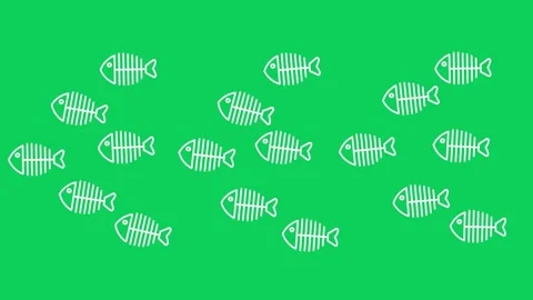 the skeleton of a fish rotating on a gre... | Stock Video | Pond5