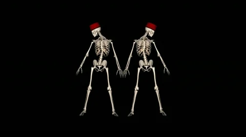 Skeleton Funny Dance II (+ ALPHA CHANNEL... | Stock Video | Pond5