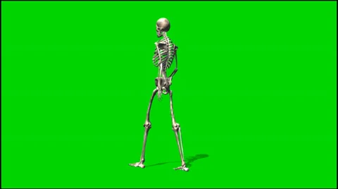 skeleton goes - isolated green screen fo... | Stock Video | Pond5