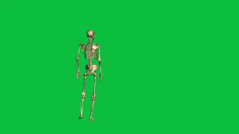 Skeleton Green Screen Stock Video Footage | Royalty Free Skeleton Green ...