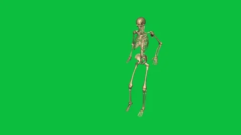 Skeleton Green Screen Stock Video Footage | Royalty Free Skeleton Green ...