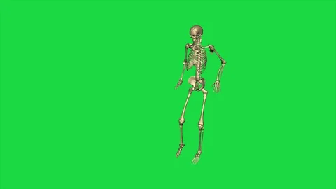 Skeleton Green Screen Stock Video Footage | Royalty Free Skeleton Green ...