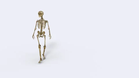 Skeleton Animations Loop Stock Video Footage | Royalty Free Skeleton ...