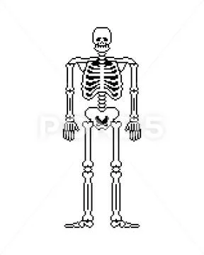 Skeleton pixel art. Skull and Bones anatomy 8 bit. Pixelate Pelvic bone ...