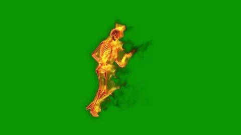 Skeleton Green Screen Stock Videos – Royalty-Free HD & 4K Videos