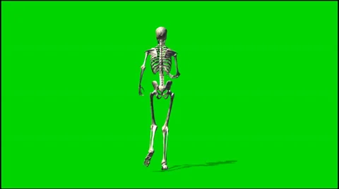 Skeleton Green Screen Stock Video Footage | Royalty Free Skeleton Green ...