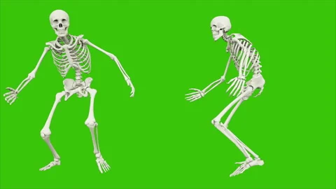 The skeleton runs. Seamless loop animati... | Stock Video | Pond5